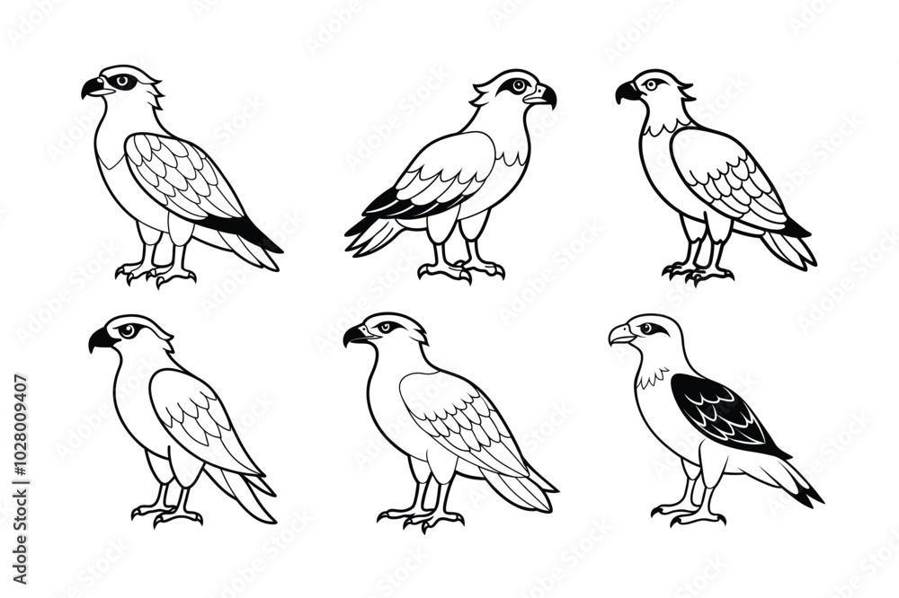 Osprey vector line art icon set Stock Vector | Adobe Stock