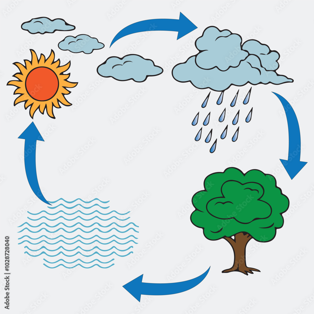 Vector de Stock Simple Water cycle info graphic. Ecosystem concept ...