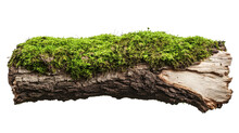 Moss Covered Log In Woods Free Stock Photo - Public Domain Pictures