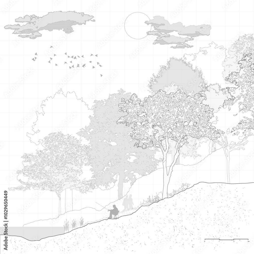 Architectural Drawings, Minimal style cad tree line drawing, Side view ...