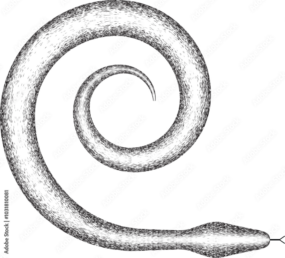 Year of the snake . Grainy, transparent Snake logo for Chinese new year ...