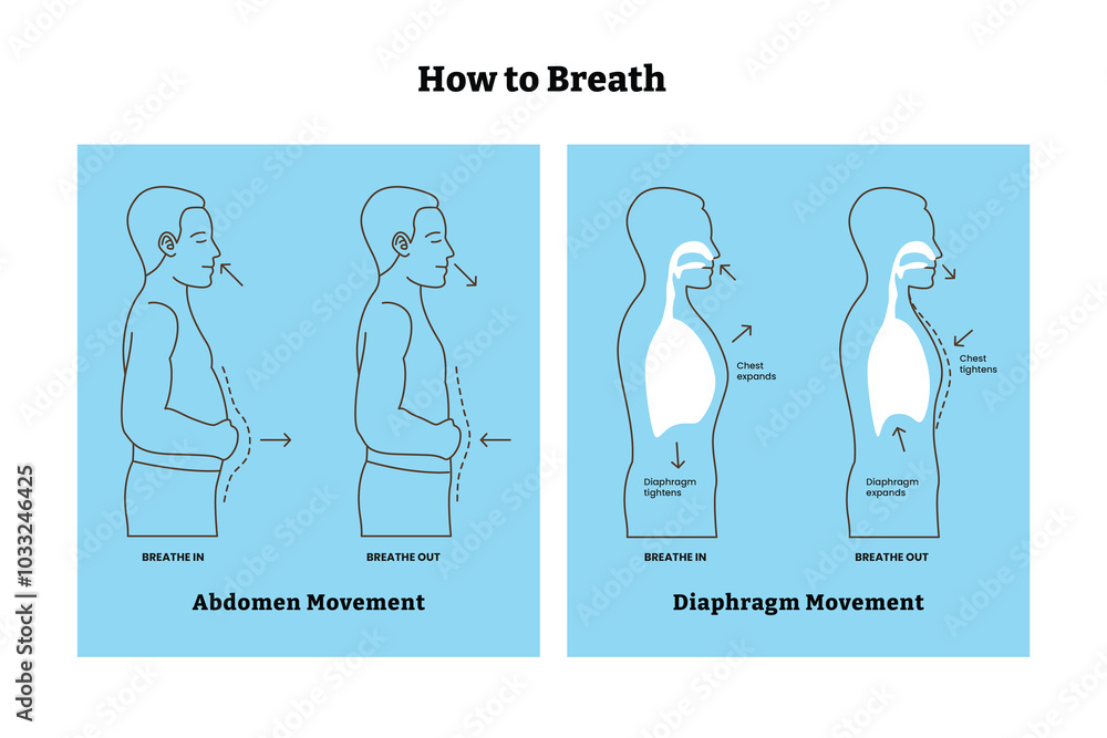 Set of breathing step by step guide poster design, abdomen movement and diaphragm movement ...