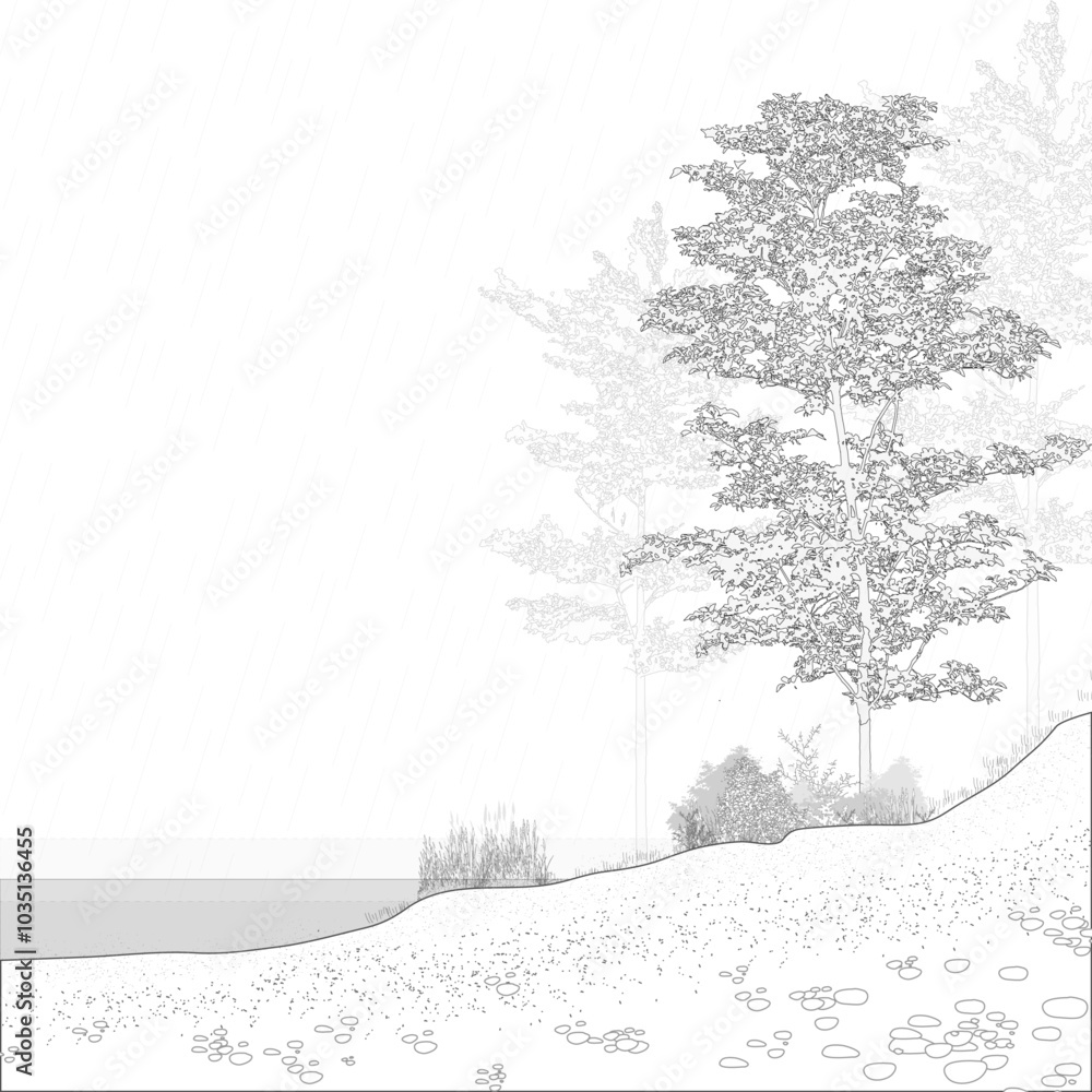 Architectural Drawings, Minimal style cad tree line drawing, Side view ...