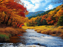 Rock Bridge And Fallen Tree In Fall Free Stock Photo - Public Domain ...