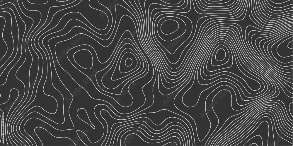 Exploring the Intricate Intersections of Topology and Topography ...
