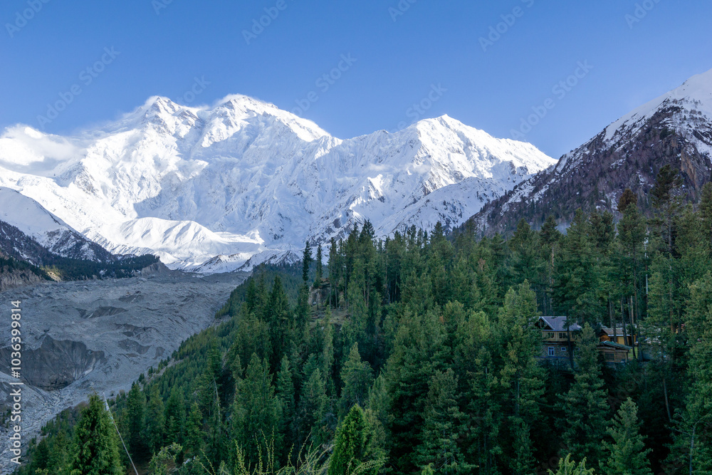 View of Nanga Parbat from nearest lodge at Fairy Meadows. Nanga Parbat ...