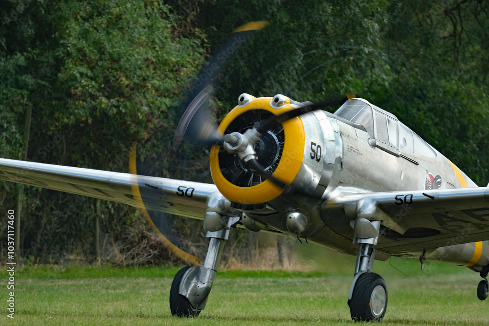 Victory Show, Leicester, Uk. August 2024. The Curtiss P-36 Hawk, also ...