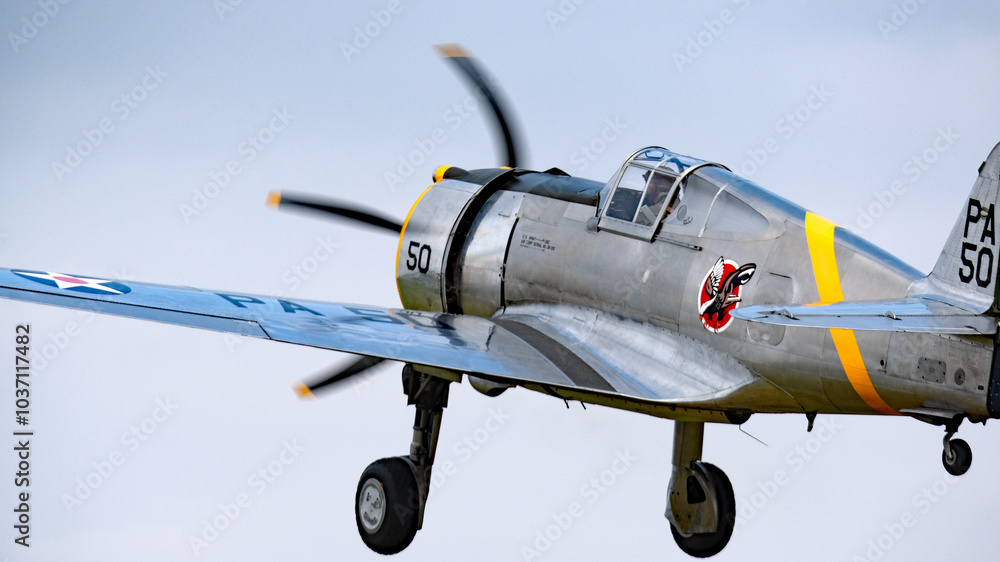 Victory Show, Leicester, Uk. August 2024. The Curtiss P-36 Hawk, also ...