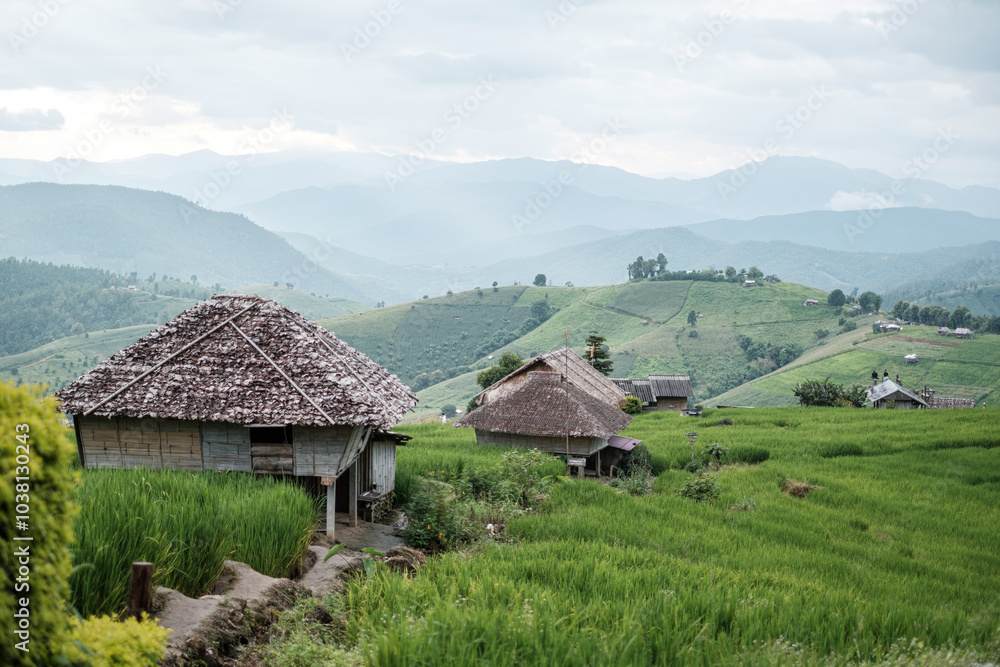 rice fields on a mountain and take photo in the Ban Pa Bong Piang, Mae ...