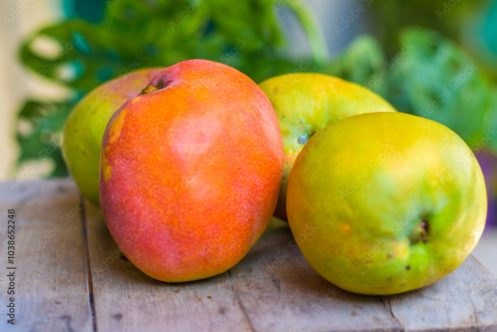 Foto de Stock Manga é um fruto do tipo drupa produzido por uma árvore ...