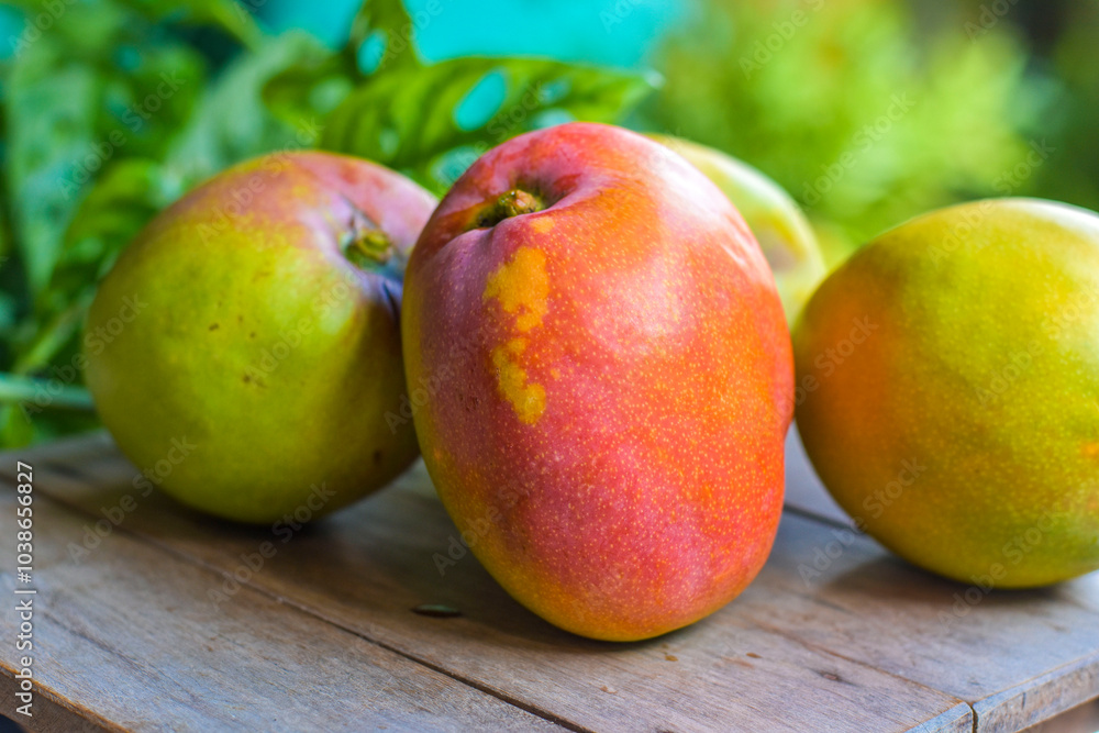 Manga é um fruto do tipo drupa produzido por uma árvore chamada ...