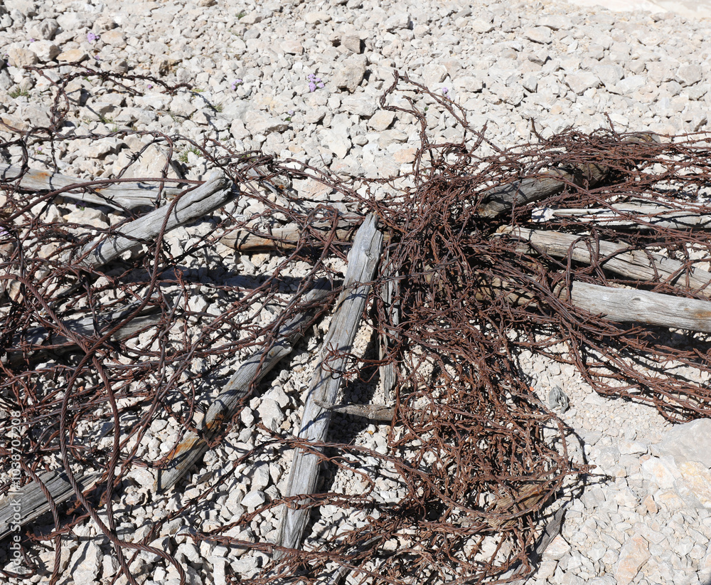 Tangled rusted barbed wire used during World War I in the mountains ...
