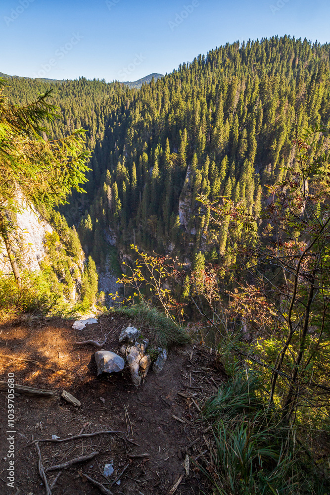 landscape of padis plateau in apuseni natural park of romania. cetatile ...