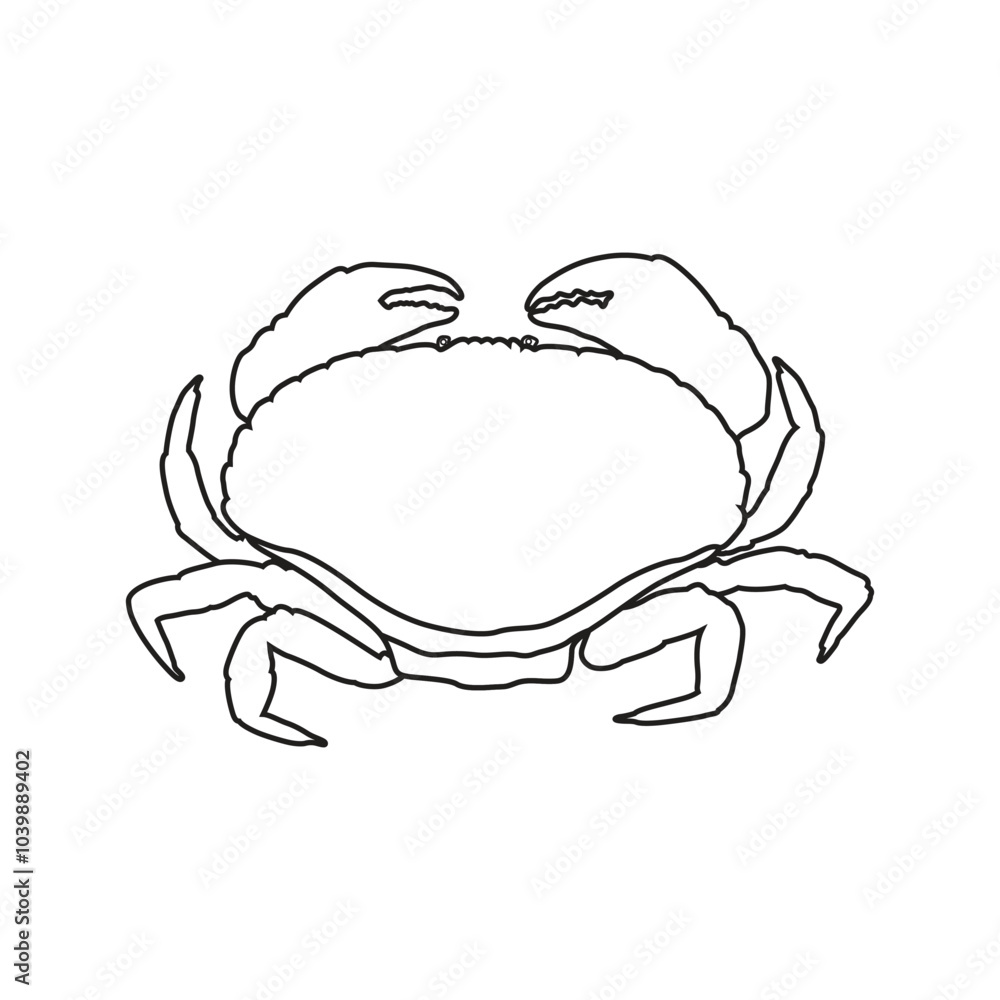 Vector illustration of crab line art. Seafood red crab in outline for ...