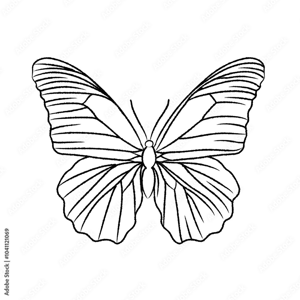 Red morpho butterfly illustration on transparent background. Kids ...