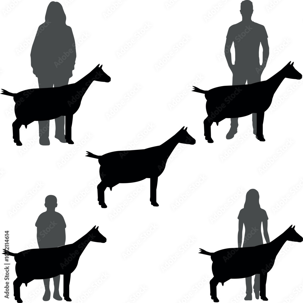 Stock-Vektorgrafik „Sable Goat Show Vector File, Livestock Judging ...
