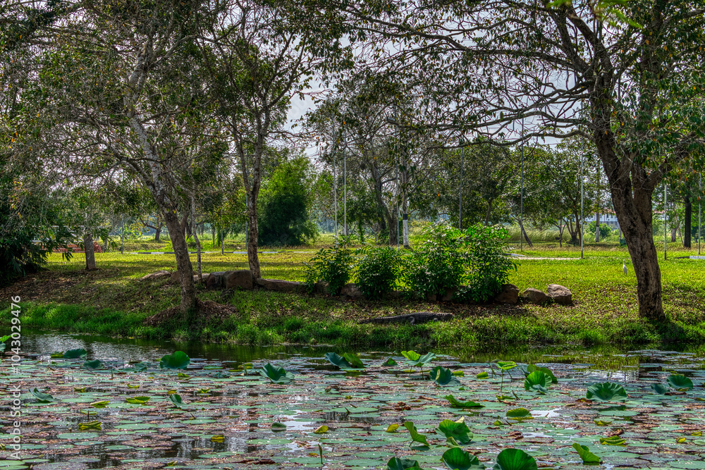 Anuradhapura is one of the oldest capitals in Sri Lanka, known for its well-preserved ruins ...