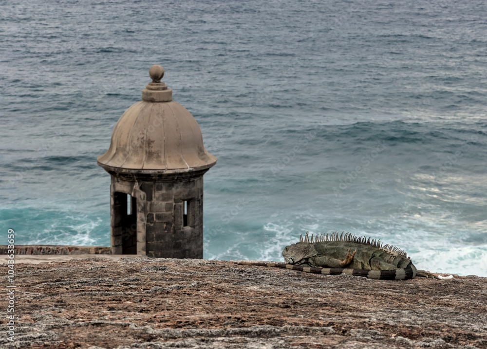 bastion from a colonial spanish fort in old san juan puerto rico ...