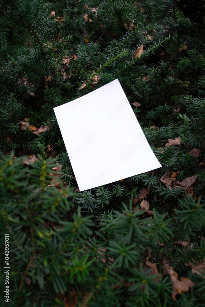 Mockup of a white A4 sheet on the branches of a Taxus baccata tree with ...
