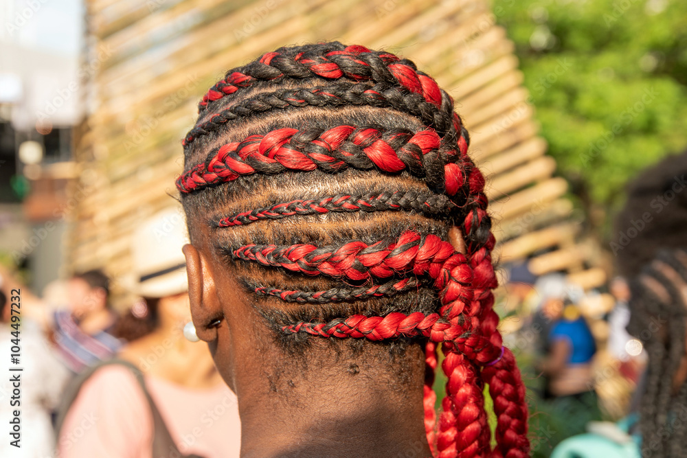 Foto de Stock Braids,female hairstyle braided in rows, braided hair ...