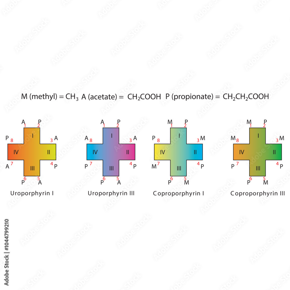 Diagram of Uroporphyrin and Coproporphyrin molecules chemical molecular ...