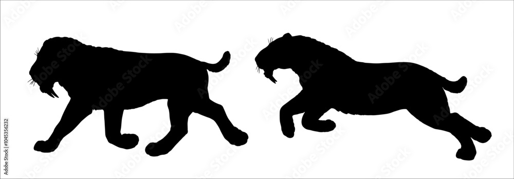 Saber tooth cat. Animals vector black silhouette drawing. Saber-toothed ...
