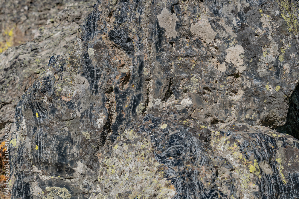 Stock-Foto „Obsidian Cliff, Yellowstone National Park , Wyoming ...
