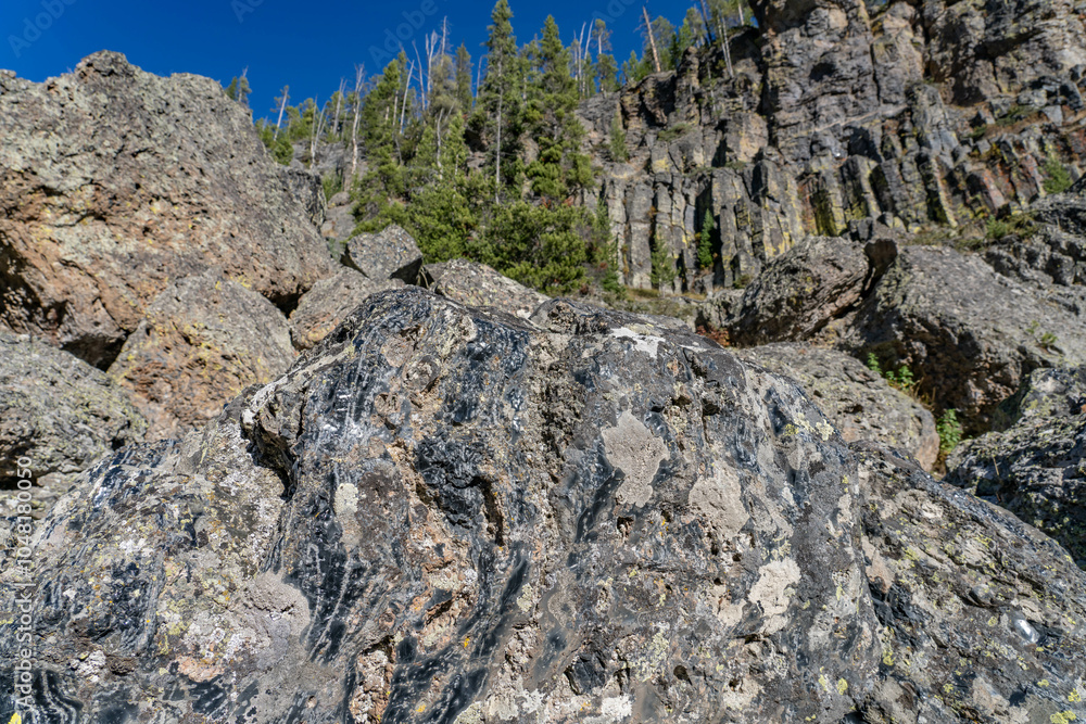 Obsidian Cliff, Yellowstone National Park , Wyoming. Obsidian is a ...