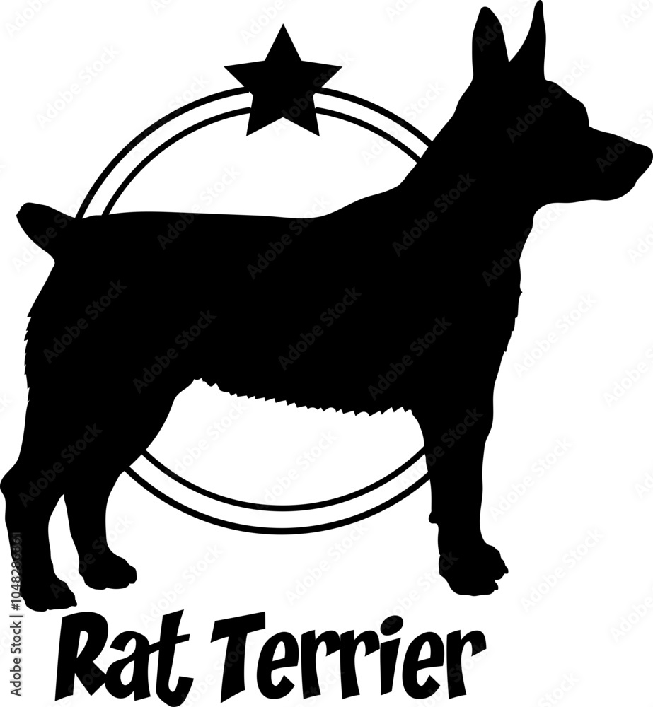 Rat Terrier. dog silhouette, dog, dog breeds, logo, vector, silhouette ...