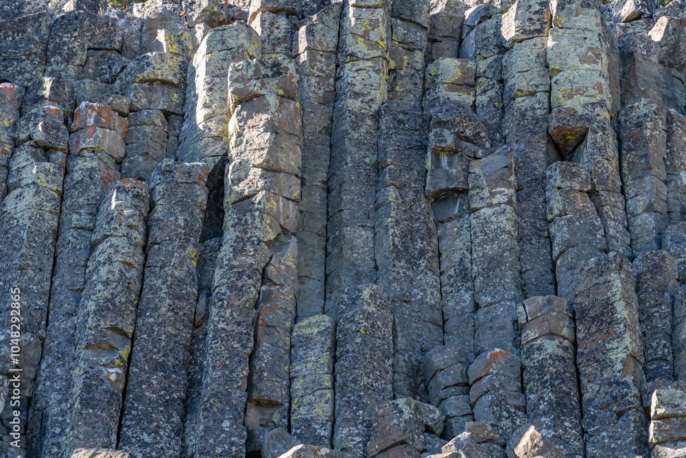 Columnar Jointing in Swan Lake Flat Basalt at Sheepeater Cliff. Gardner ...