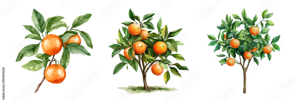 Watercolor orange tree and branch png set. Cute trees with leaves and ...