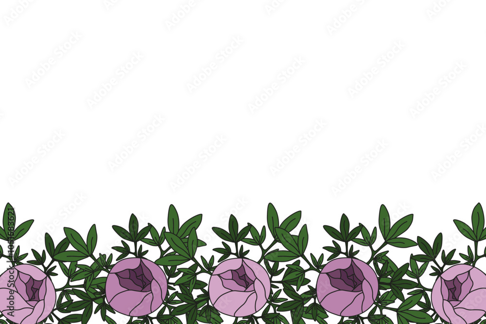 Horizontal Floral Frame template design isolated white background ...