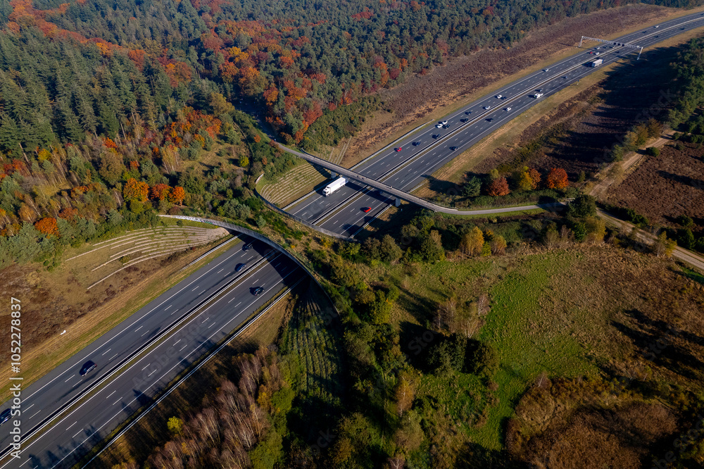 Forest aerial wildlife crossing De Borkeld forming a safe natural ...
