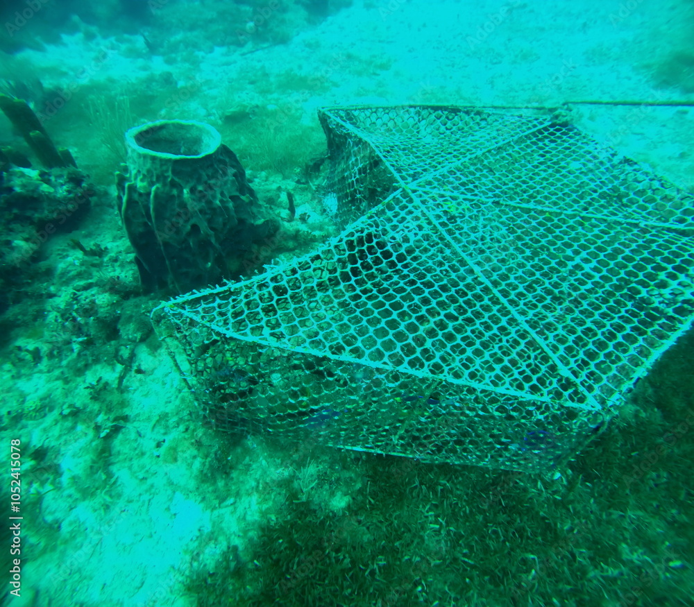 traditionnal guadeloupe fish trap in the sea floor, undersea photo of ...