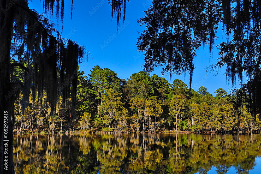 Caddo Lake State Park, with the beautiful scenes of the fall colors in ...