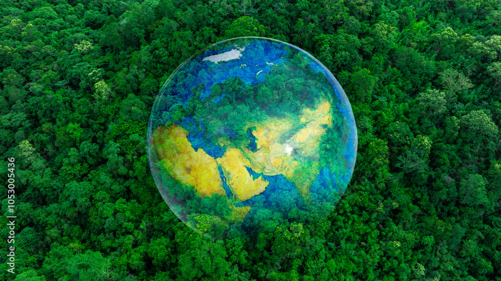Atmospheric aerial view of the green forest with the earth Demonstrate ...