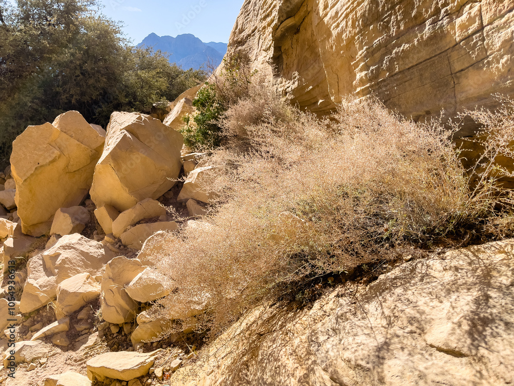 Red Rock Canyon National Conservation Area, giant rocks, hiking, trails ...