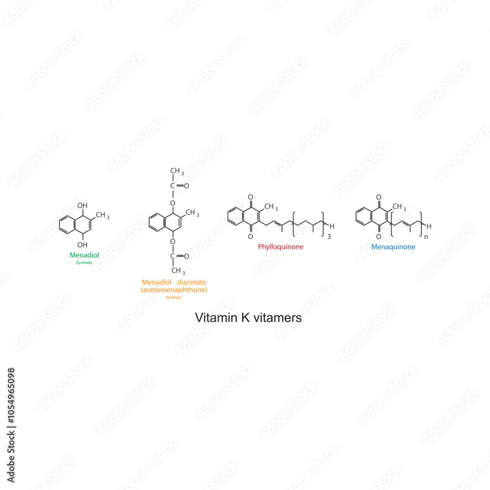Diagram of Vitamin K vitamers - Phylloquinone, Menaquinone, Menadiol ...