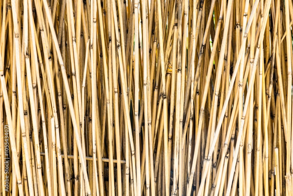 Granular material, solid wood with a structural surface for design ...