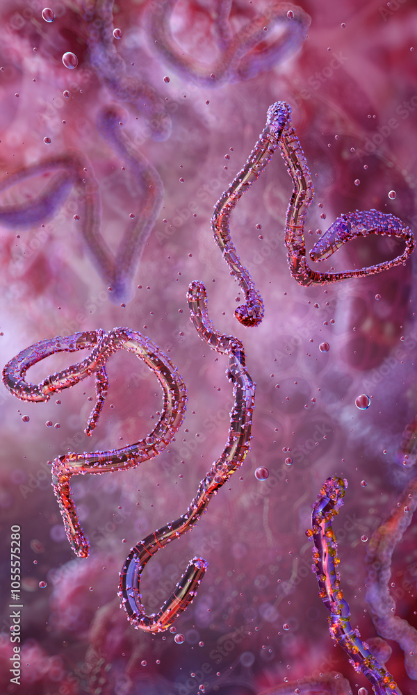 Marburg RNA virus filamentous structure. Filoviridae family zoonotic ...