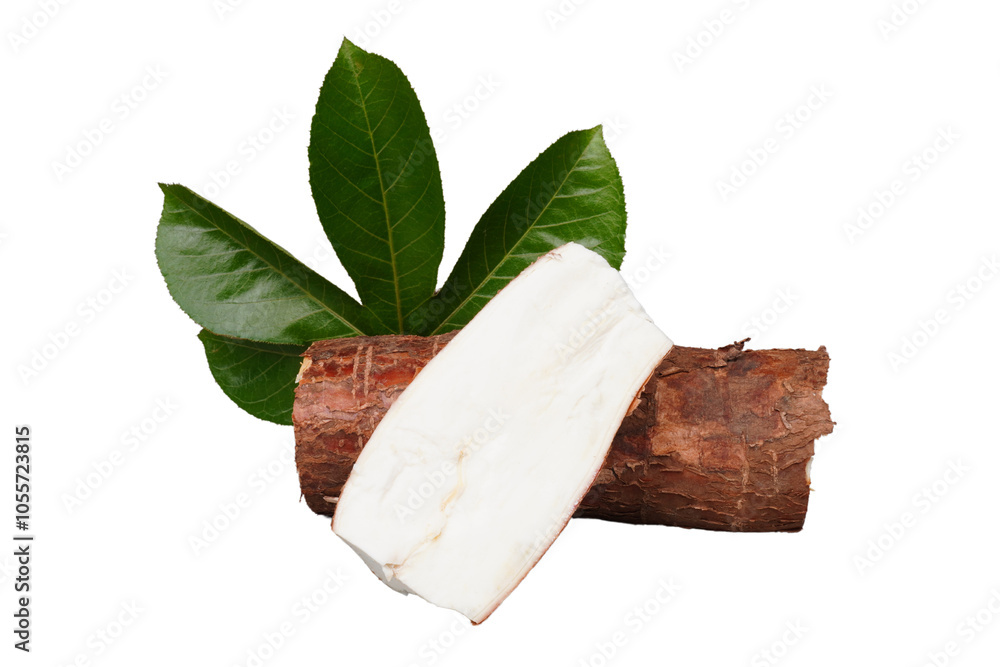 Cuts of cassava tubers and their leaves isolated transparent Stock ...