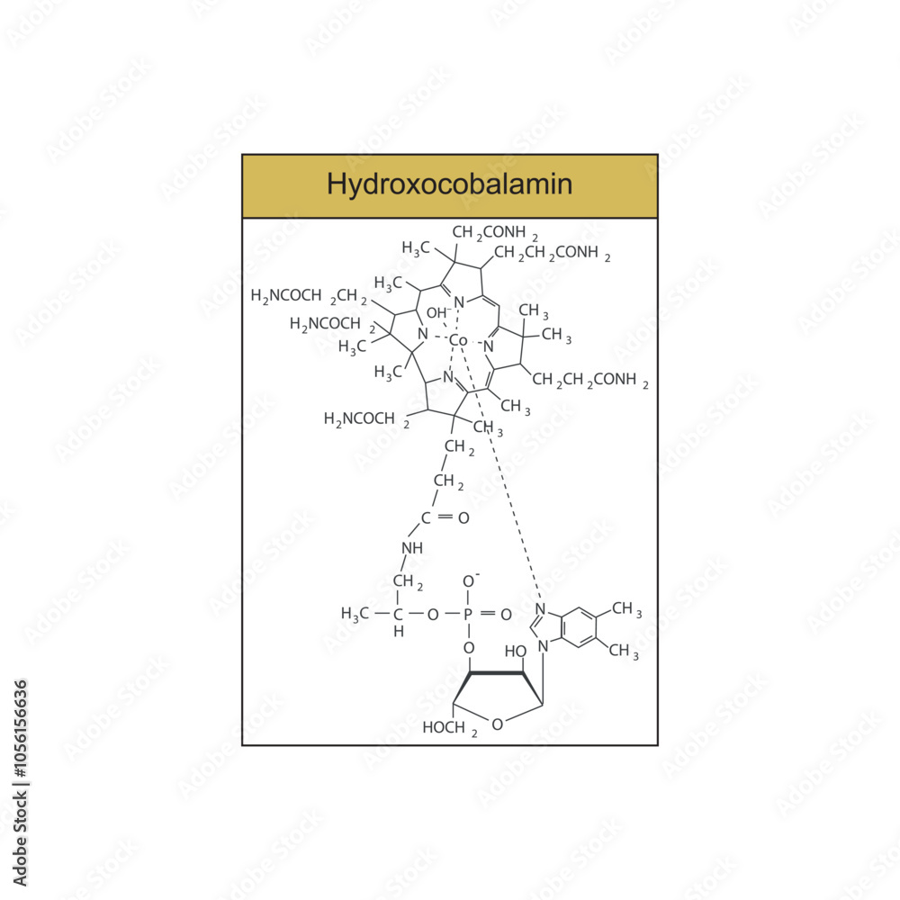 Hydroxocobalamin skeletal structure diagram.Vitamin B12 compound ...