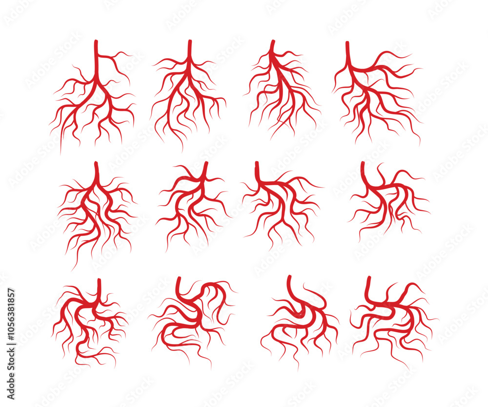 Set of red veins isolated on white background. Red blood vessel ...