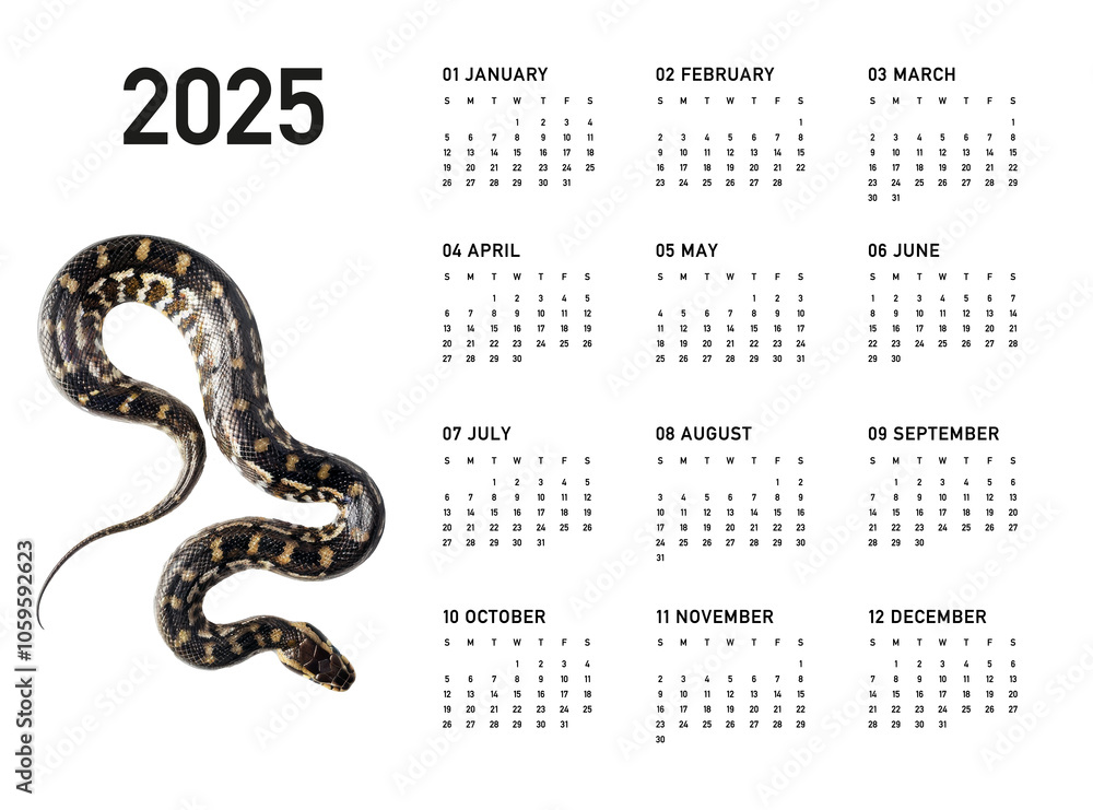 Calendar 2025, the year of the snake according to the Chinese calendar ...