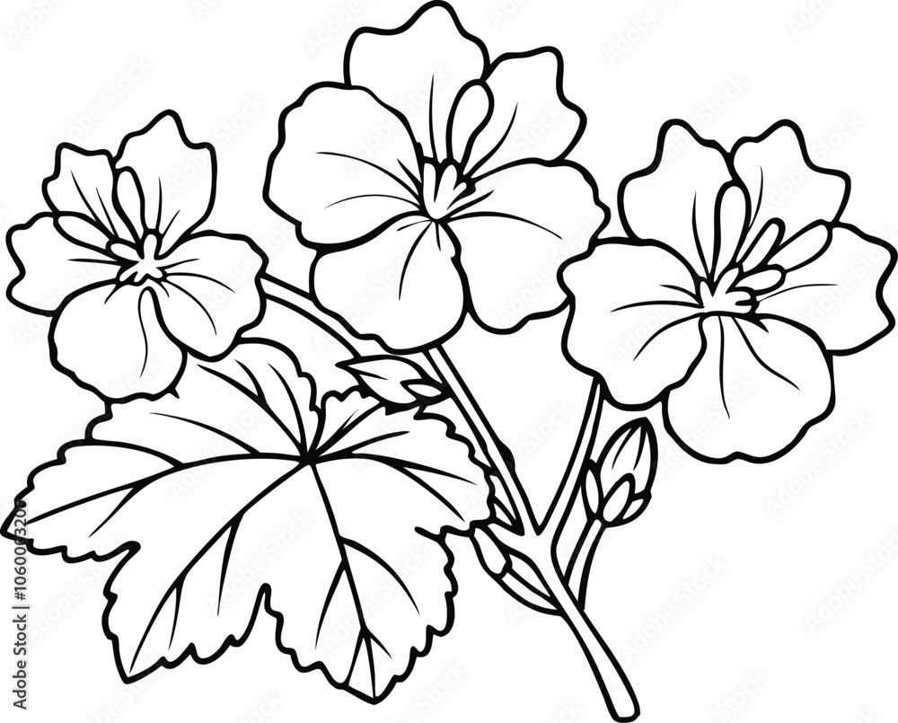 Geranium Flower Line Art Coloring Page - Botanical Outline Illustration ...