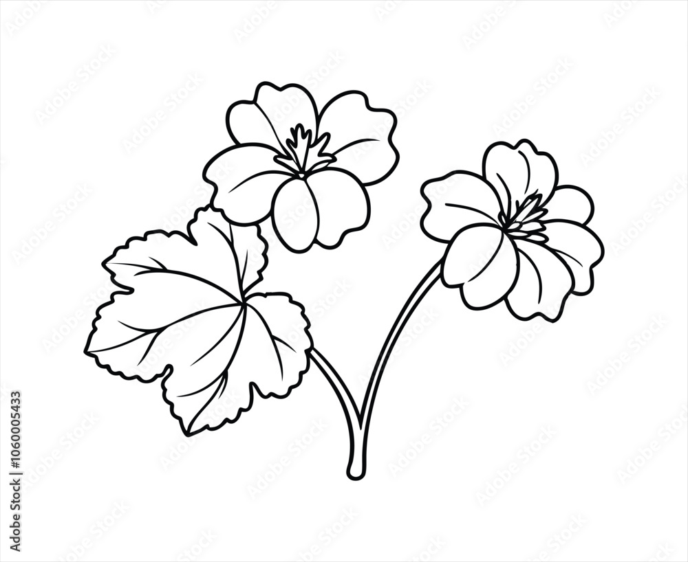 Geranium Flower Line Art Coloring Page - Botanical Outline Illustration ...