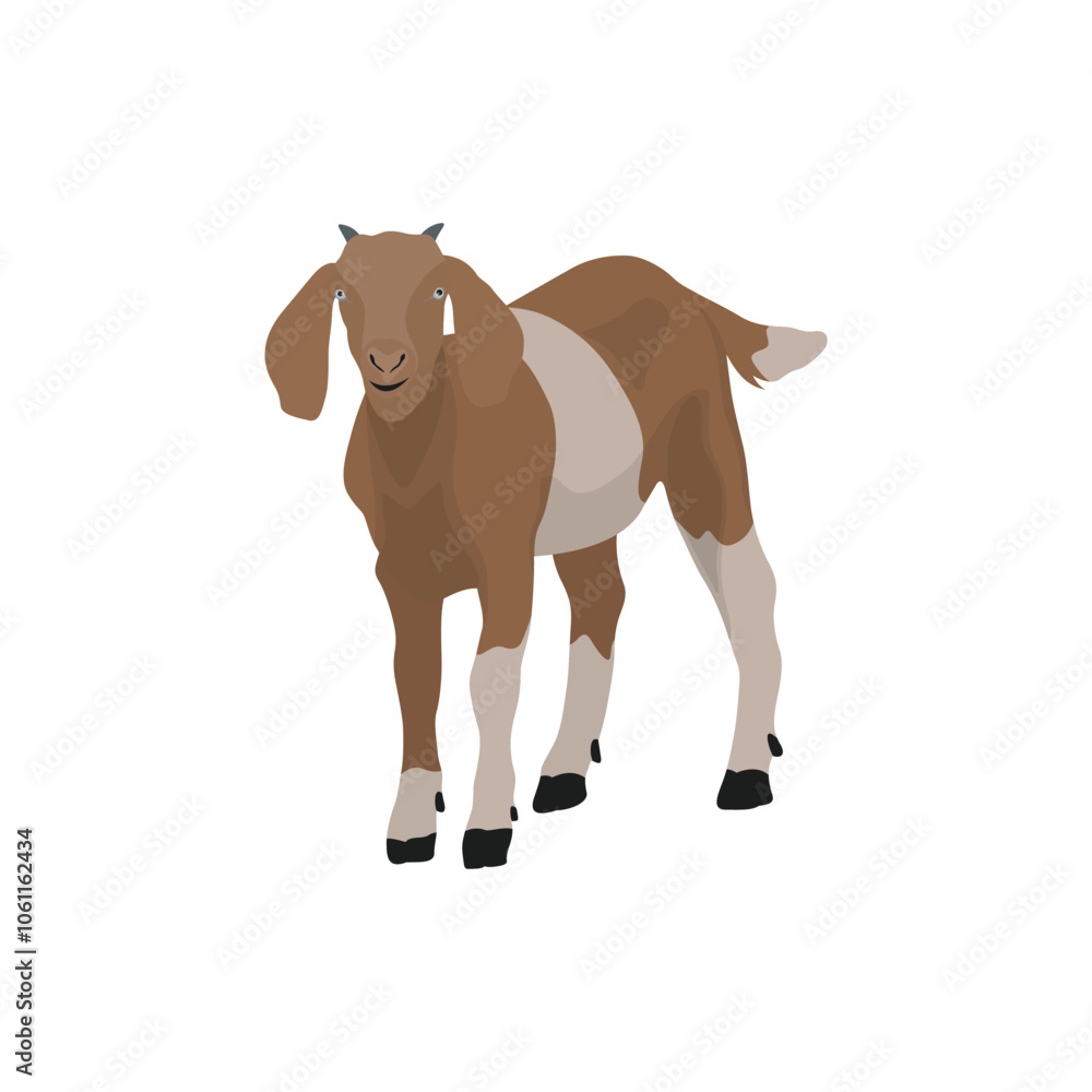 Vector illustration of boer goat in cartoon flat style. Farming ...