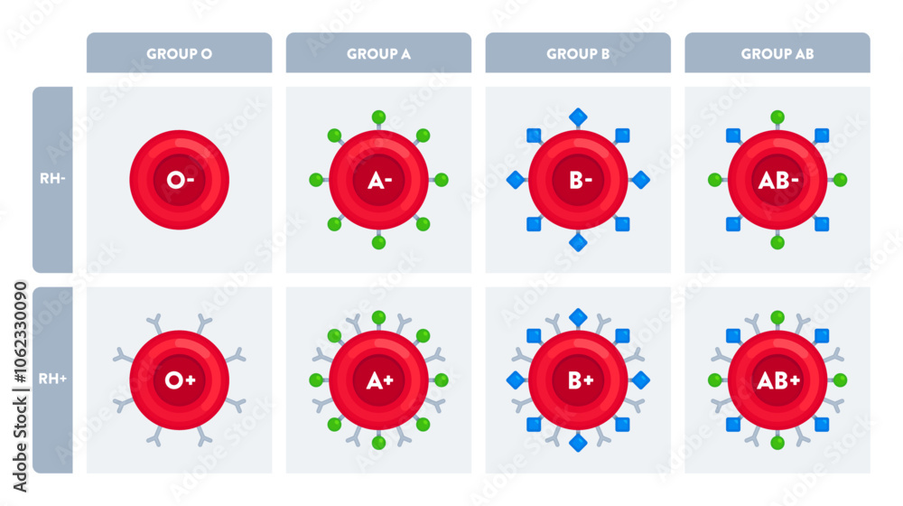 Chart Of O A B AB Blood Group Types With Rh Factors And Antigen Chart Of O A B AB Blood Group Types With Rh Factors And Antigen