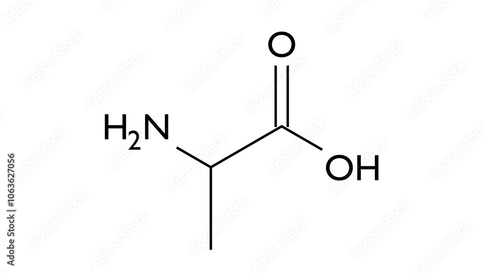 alanine molecule, structural chemical formula, ball-and-stick model ...
