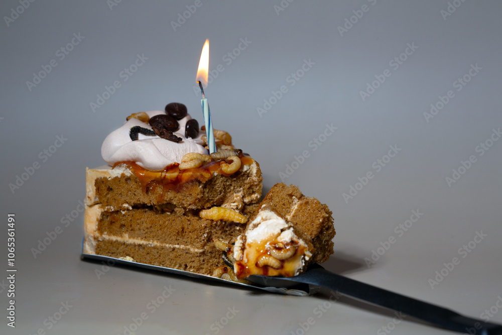 Chocolate cake on a plate contaminated with insects, hazardous food ...